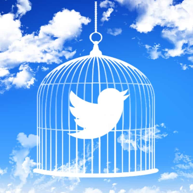 twitter bird in cage