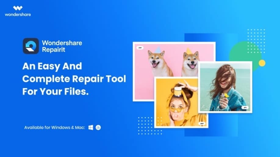 What is the Best Way to Repair Blurry Pictures in High Quality ...